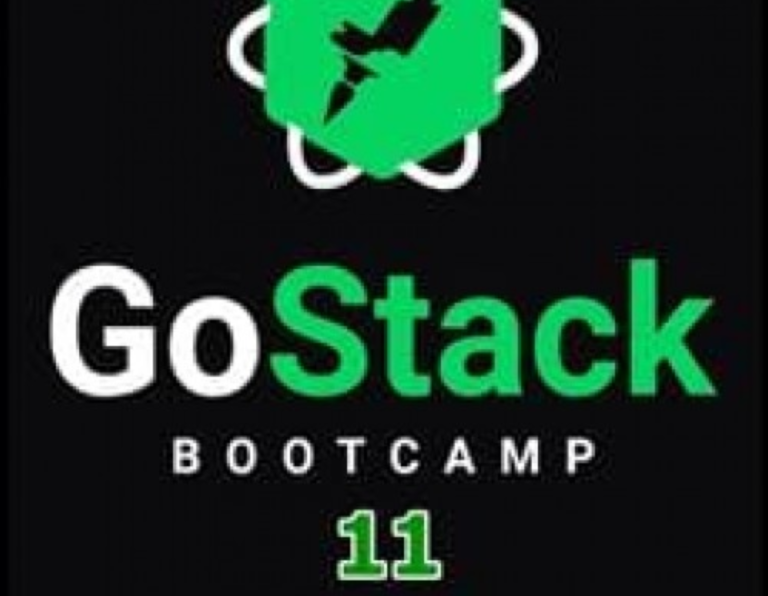 ROCKETSEAT GOSTACK BOOTCAMP 11 - Download Cursos Pirata